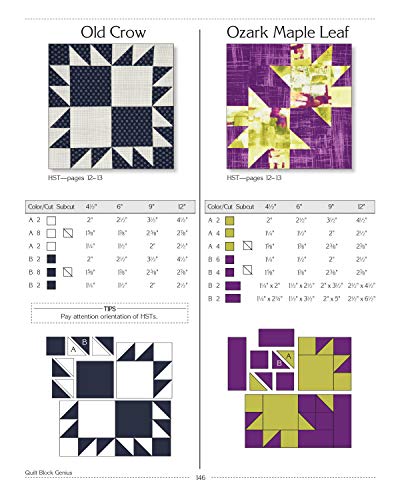 Snapklik.com : Quilt Block Genius, Expanded Second Edition: Over 300 ...