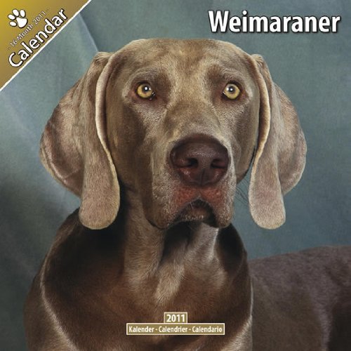 Weimaraners 2011 Wall Calendar #30474-11: Avonside: 9781849811491 ...