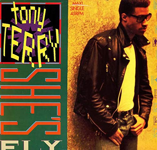 Amazon.com: SHE'S FLY [12 inch VINYL Single]: CDs & Vinyl