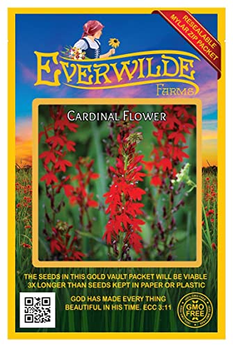 How to Grow Cardinal Flower from Seed: Attract Hummingbirds - Peace ...