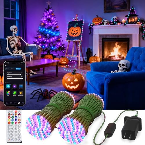 Smart Christmas Fairy Lights, 65.6Ft 200LEDs RGB+IC String Light, APP ...