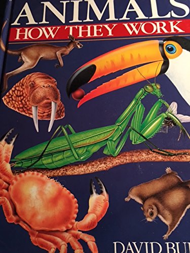 Animals: How They Work: Burnie, David: 9780806907420: Amazon.com: Books