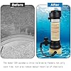 Amazon.com : New Upgraded Pool Chlorinator R171096 Automatic Inline ...
