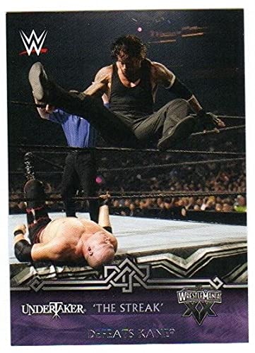 Wwe Undertaker 2014 Wallpaper