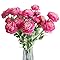 Amazon.com: 6PCS Artificial Ranunculus Flowers with Real Touch Stem ...