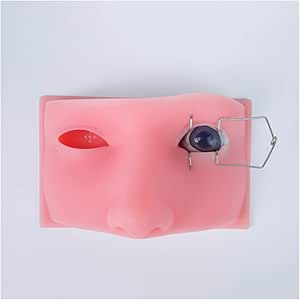 GeRRiT Eyeball Simulation Training Model - Ophthalmology Head Model ...