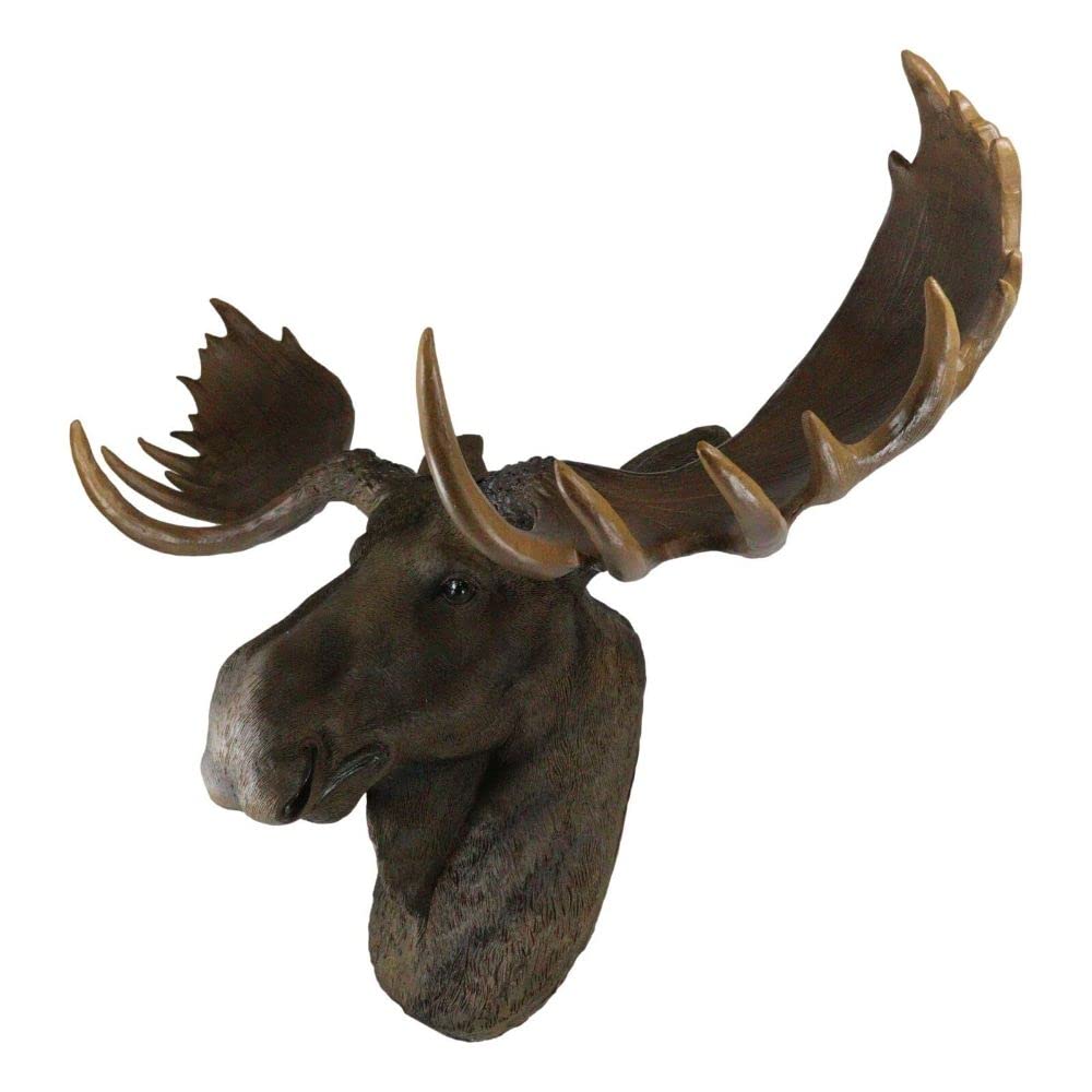Amazon.com: 1 Pcs Western Rustic Wildlife Baron Bull Moose Elk Deer ...