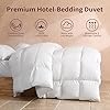SWITTE Luxury Goose Feather Down Comforter Queen Size Duvet Insert,All ...