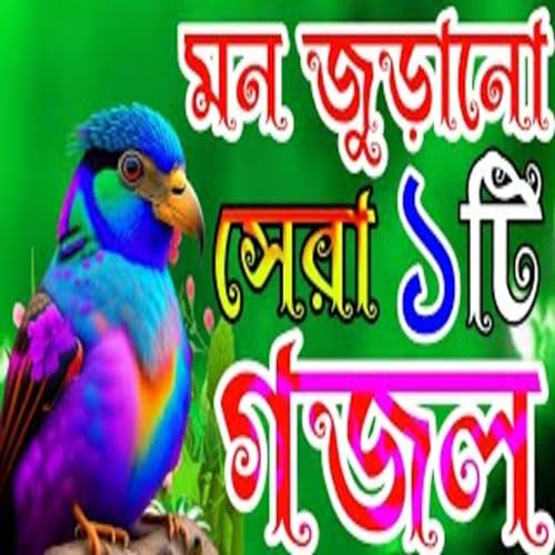 Play পৃথিবী আমার মন মাতানো গজল | বাংলা নতুন গজল | new gojol 2024 ...