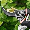 JD FRESH 8 Inch Heavy Duty Gardening Scissor/Plant Cutter for Garden ...
