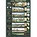 Amazon.com: 123Posters Human Evolution Poster 24 x 36: Prints: Posters ...
