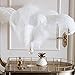 AUPSU 10pcs Ostrich Feathers,Ostrich Feathers Plume,Ostrich Feathers in ...