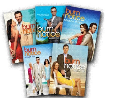 Amazon.com: Burn Notice: Seasons 1-5 : Movies & TV