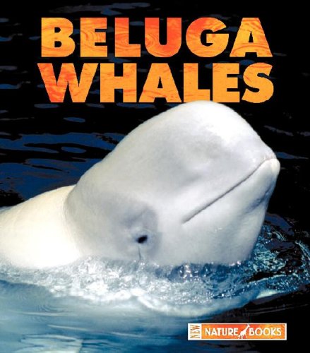 Beluga Whales (New Naturebooks): Berendes, Mary: 9781592968435: Amazon ...