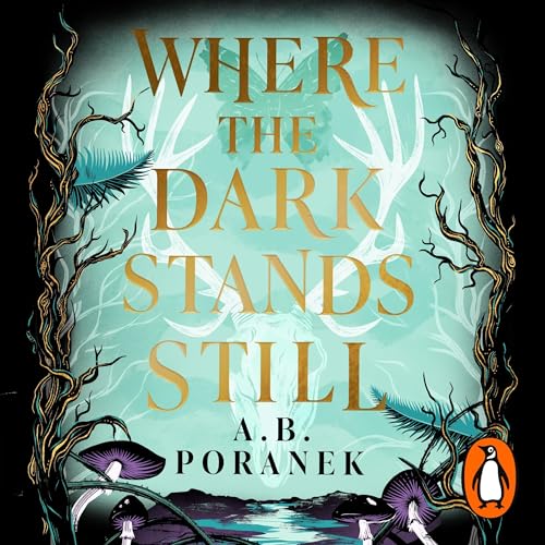 Amazon.com: Where the Dark Stands Still (Audible Audio Edition): A.B ...