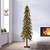 Amazon.com: National Tree CED7-60LO-S Tree, 6 ft, Green