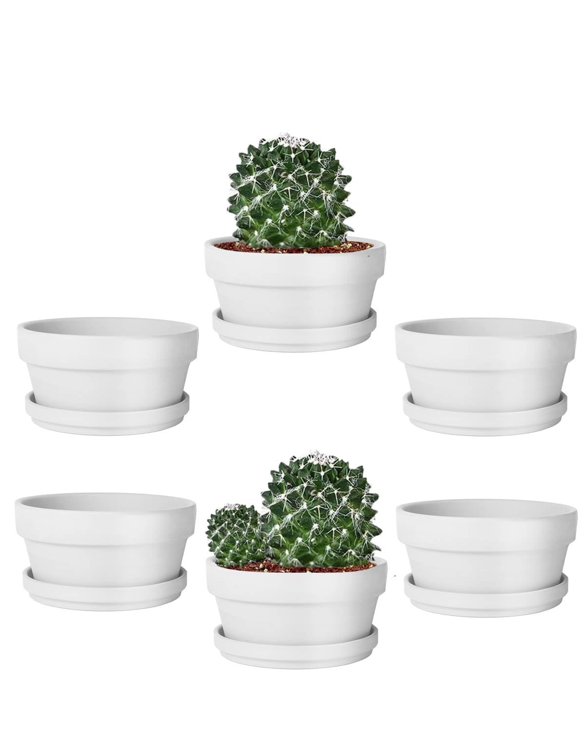 Snapklik.com : Vensovo 5.7 Inch White Terracotta Shallow Succulent Pots ...