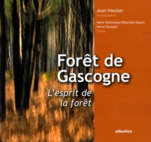 Forêt de Gascogne, l'esprit de la forêt : Le plus grand massif ...