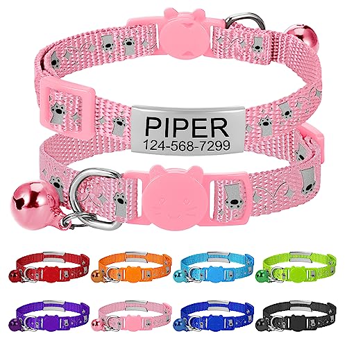 Personalized Cat Collars – The 15 best products compared - Wild Explained