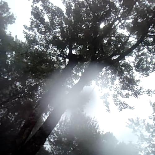 Amazon Musicでgoodnight Lucasのbreatherを再生する