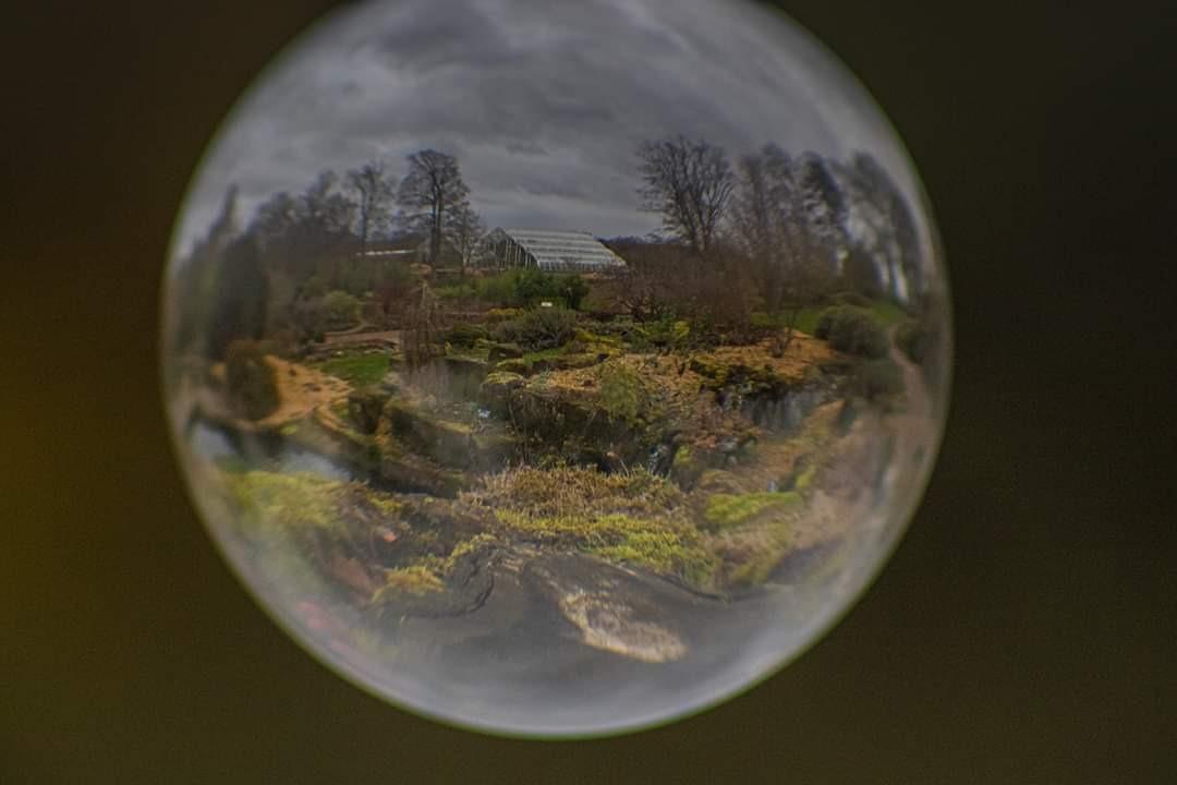 Original Lensball Stand | Suction Mount + Flat Base + Tripod Screw ...