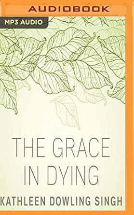 The Grace in Dying : Rothstein, Marilyn Simon, Jones, Constance: Amazon ...