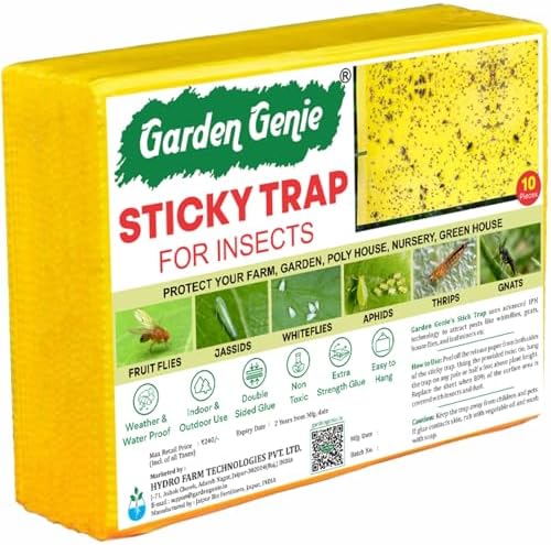 Fly Glue Trap Sticker Paper/Sticky Traps For Home Flies, Pack of20 ...