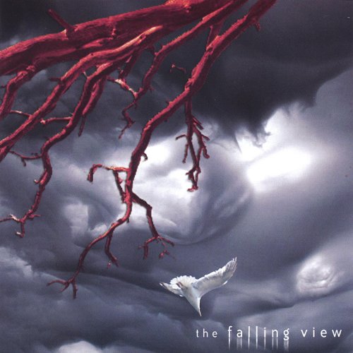 Amazon.com: The Falling View : The Falling View: Digital Music