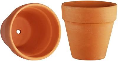 Amazon.com: Goodman and Wife Set of 2 Different Size Natural Terracotta ...
