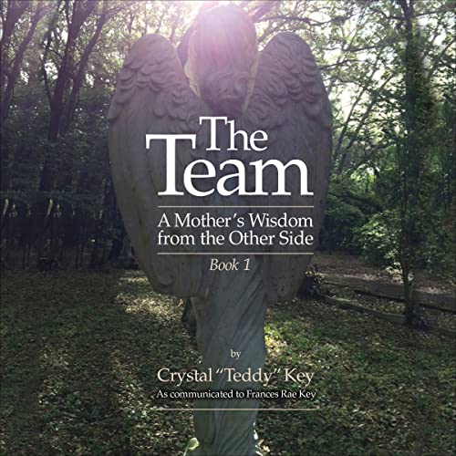 Amazon.co.jp: The Team: A Mother's Wisdom from the Other Side, Book 1 ...