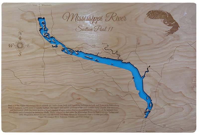 Amazon.com: Mississippi River - Pool 11: Contemporary Wood Laser ...