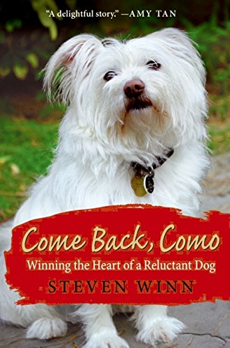 Amazon | Come Back, Como: Winning the Heart of a Reluctant Dog | Winn ...