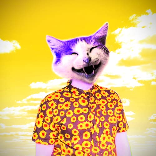 Play if cats could laugh by melodus on Amazon Music