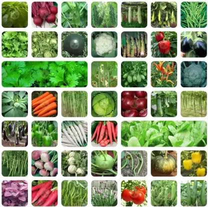 ADVI Vegetable Seeds Fresh 1 Packet of 50 Varieties of Vegetable Seeds ...