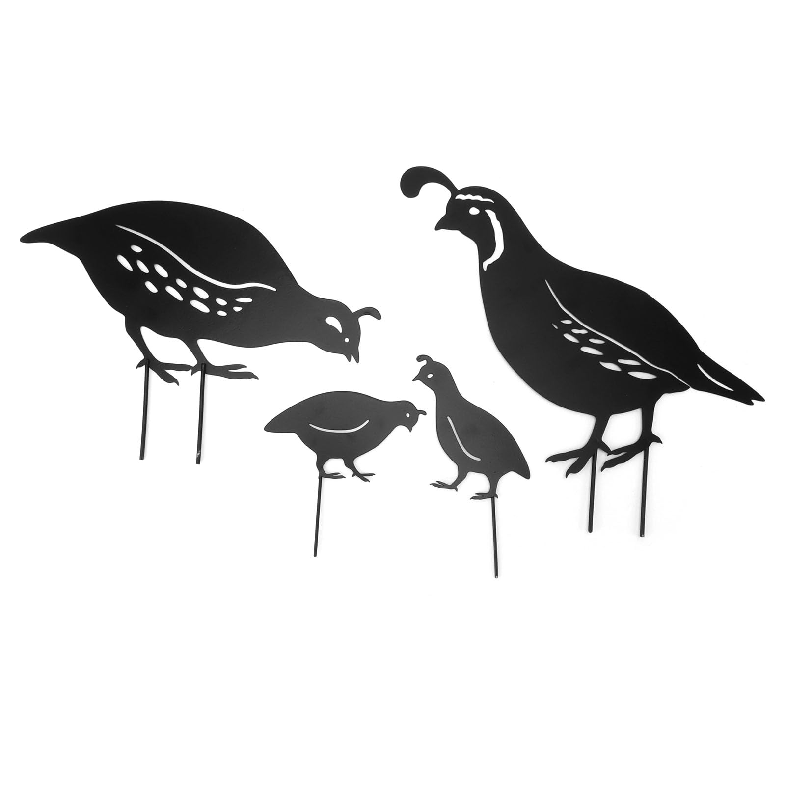 Quail Family Illustration