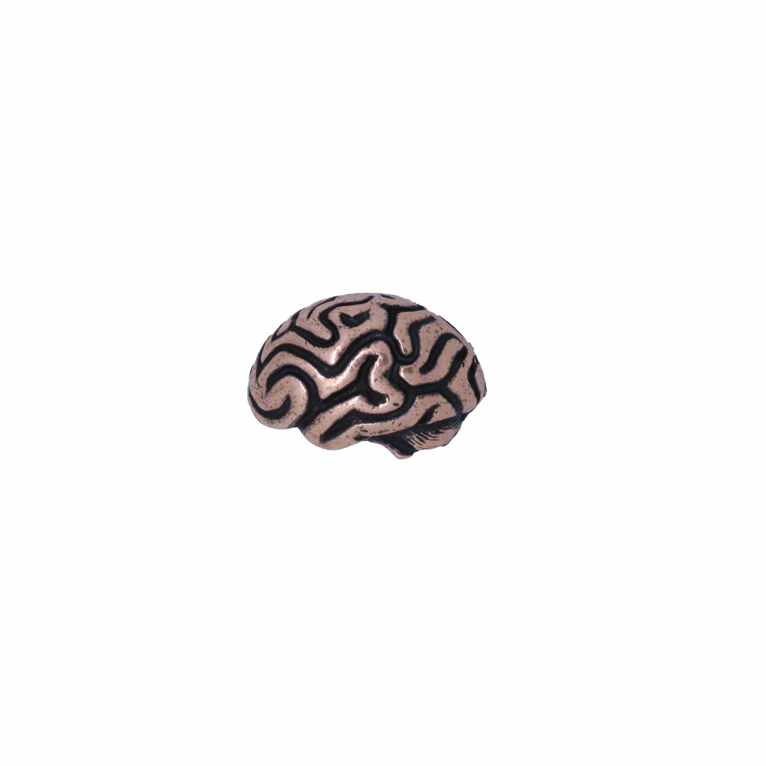 Amazon.com: Jim Clift Design Brain Copper Lapel Pin - 1 Count ...