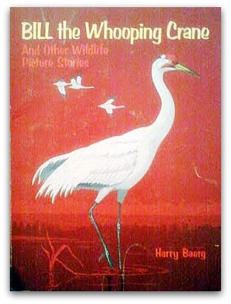 Bill the Whooping Crane: Books - Amazon.ca