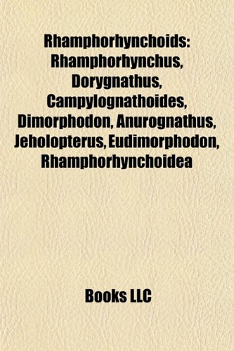 Rhamphorhynchoids: Rhamphorhynchus, Dorygnathus, Campylognathoides ...