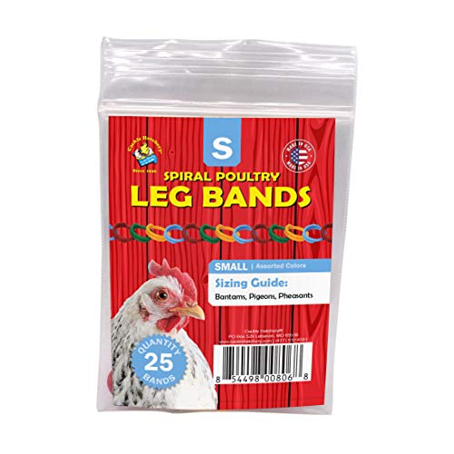 Best Poultry Rubber Bands 2022 Where to Buy? PoultryTalk.com