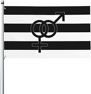 Amazon.com : Straight Pride Flag Flag 3X5 Feet - Vivid Color - UV Fade ...
