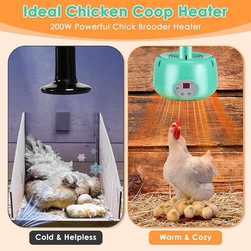 Snapklik.com : 2 Sets Chicken Coop Heater, Smart Temperature Control ...