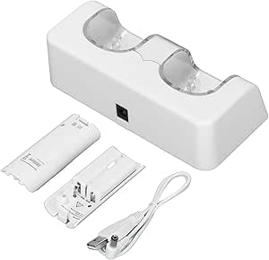 Amazon.com: Remote Battery Charger with Power Cord Stable Portable Dual ...
