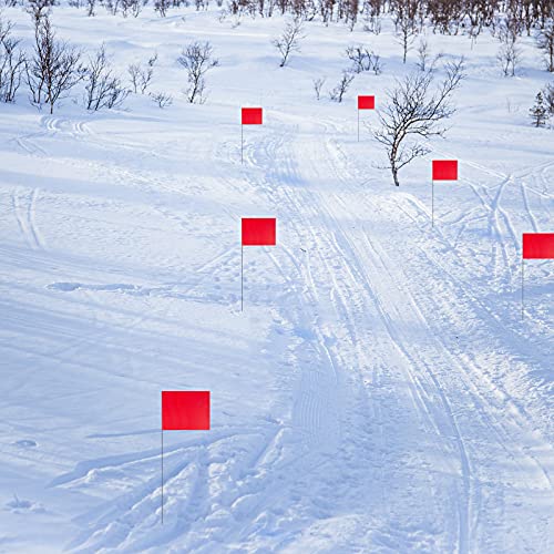 Snapklik.com : IKAYAS 100 Pack Red Marking Flags Marker Flags For Lawn ...