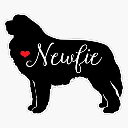 Amazon.com: Newfoundland Dog vinyl decal small : Automotive