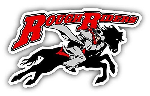 Frisco Roughriders Logo Frisco RoughRiders Partner With Wing Drone
