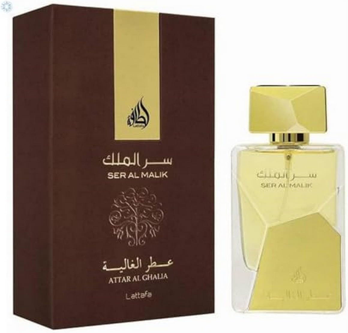 Amazon.com : Lattafa Bade'e Al Oud Sublime - Tropical, Fruity, Fresh ...