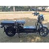 TIRANGA AUTOTECH Vajra PRO Electric Two Wheeler Loader Scooter : Amazon ...