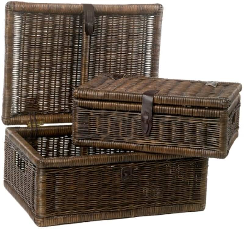 Amazon.com: covered baskets