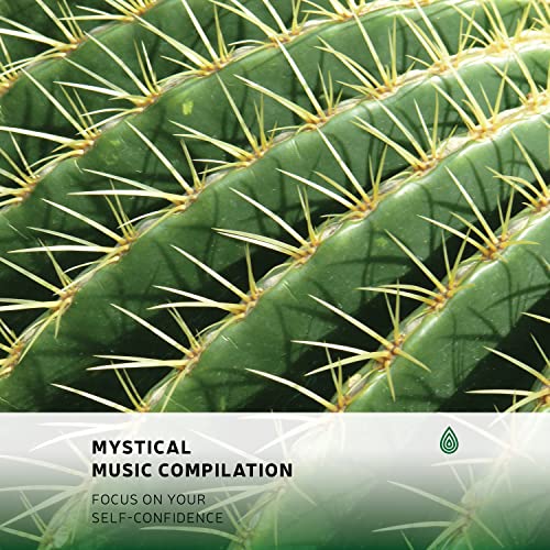 Play Mystical Music Compilation - Focus on Your Self-Confidence by ...