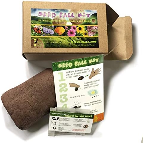 Amazon.com : Eastern-US Native Wildflower Seed Ball Kit. Makes 100 ...